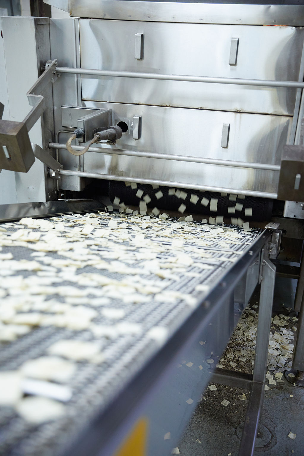 Severance Foods, Inc.